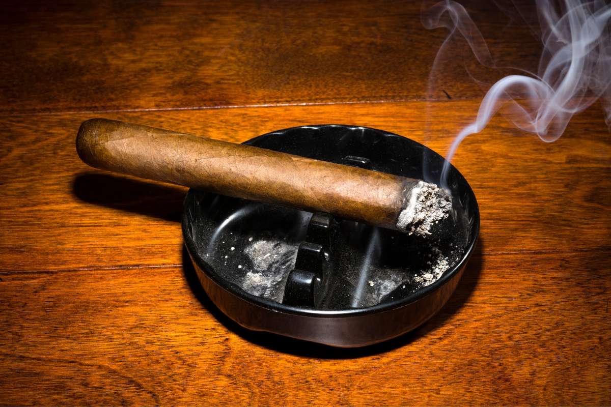 Exploring The Different Cigar Sizes, Shapes and Colors: A Beginner's Guide